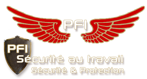 « Site Officiel PFI Formation » - Societe Formation - Societe de Formation à la Sécurité ...